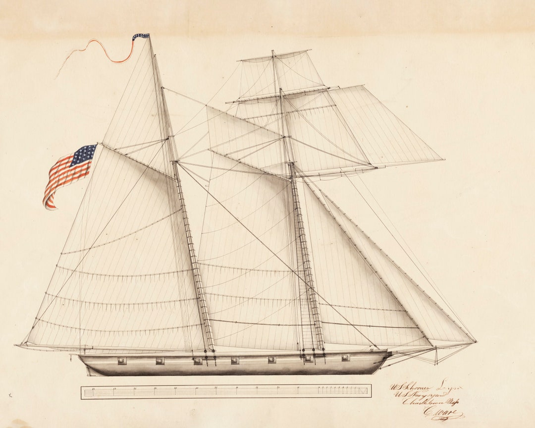 USS Schooner Lynx Blueprint - Restored Warship Drawing Art Print - Etsy