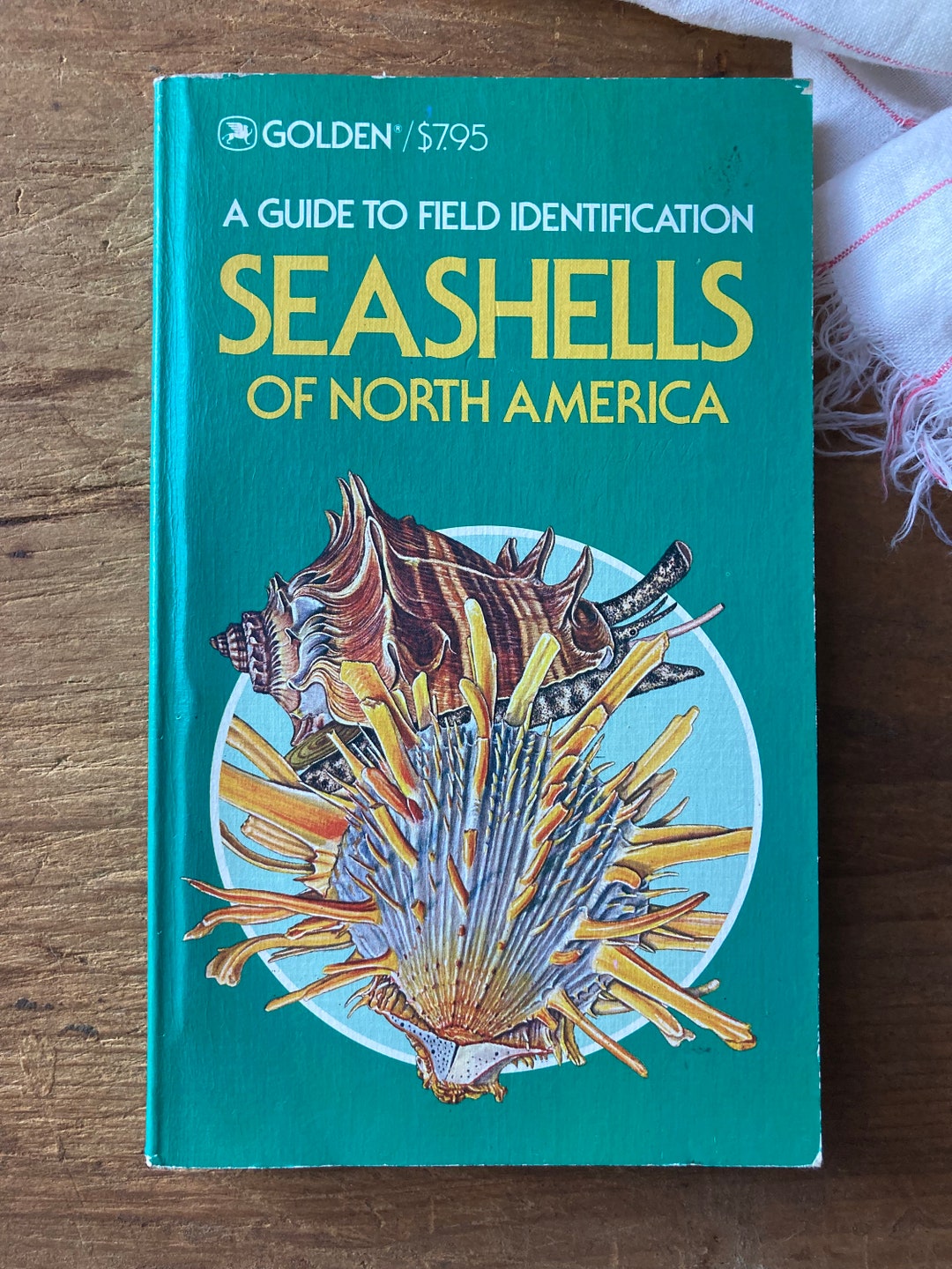 A Guide to Field Identification Seashells of North - Etsy UK