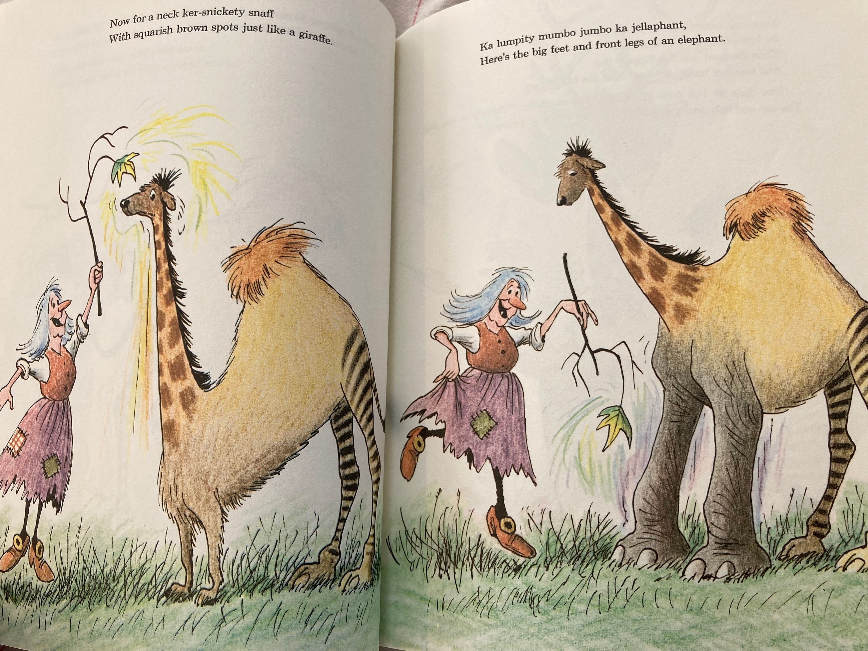 The Whingdingdilly/bill Peet/houghton Mifflin Company/dog Book, Puppy ...