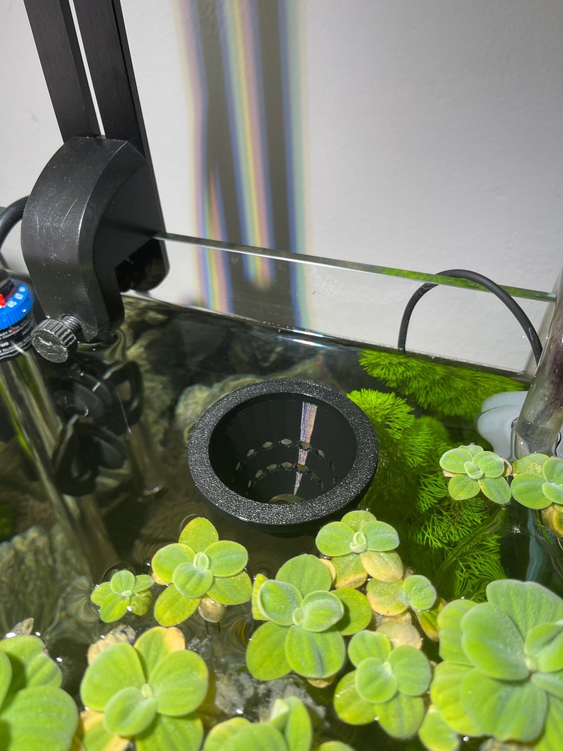 Cone Worm Feeder, Frozen Food Feeder, Floating Fish Feeder, Aquarium ...
