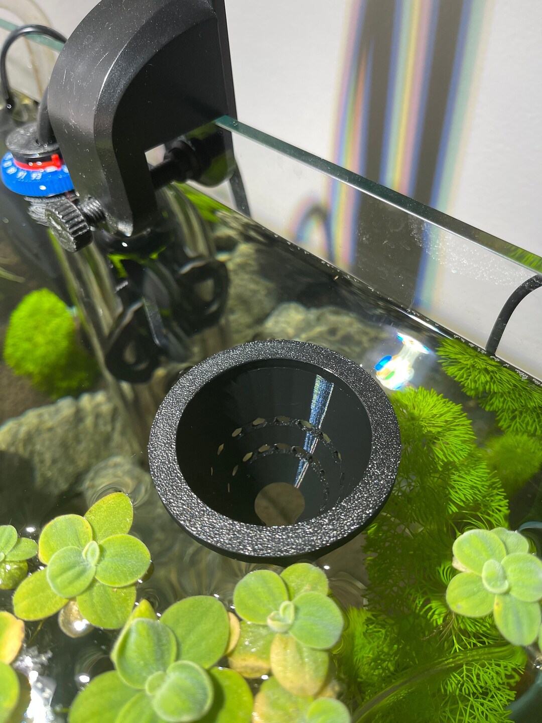 Cone Worm Feeder, Frozen Food Feeder, Floating Fish Feeder, Aquarium ...