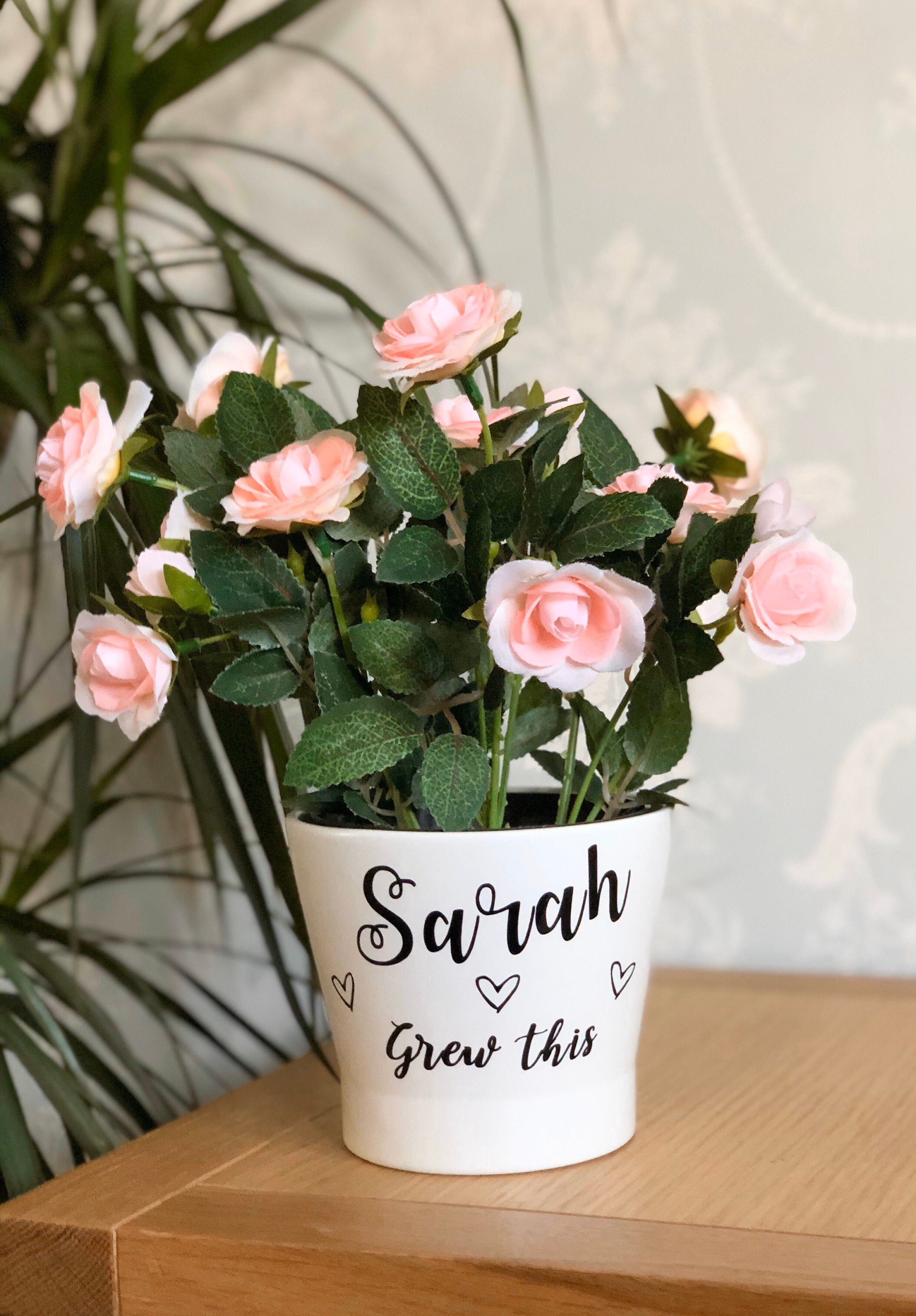 Personalised Plant Pot Childrens Gift Friend Gift I - Etsy