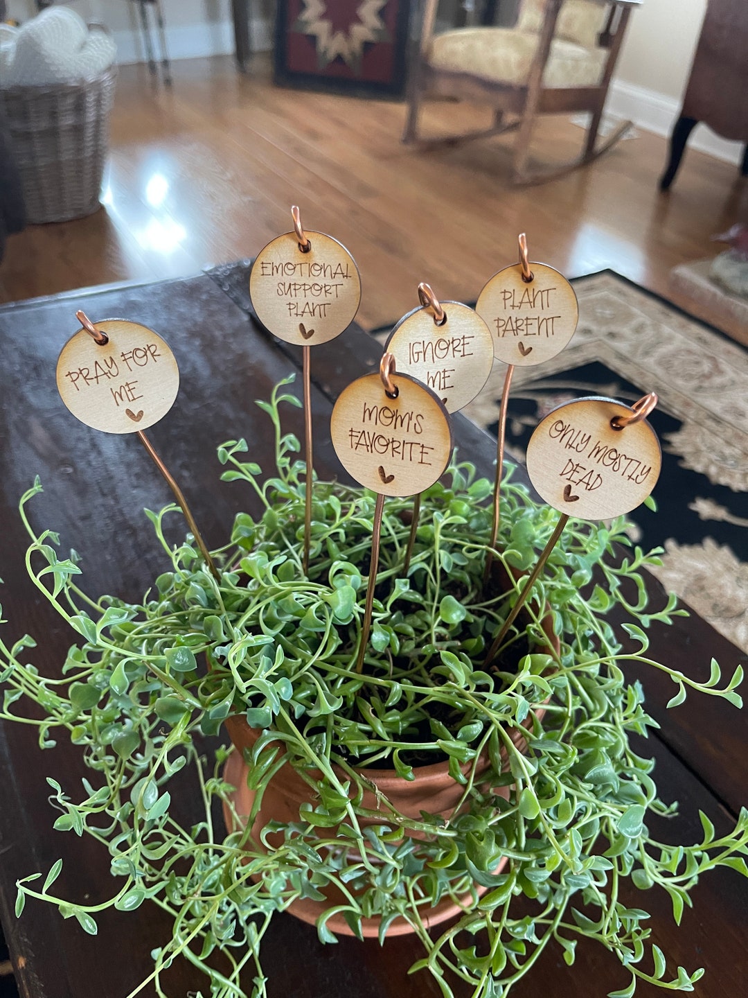 Funny Plant Stake Bundle, Funny Plant Stakes, Set of Six Plant Stakes ...