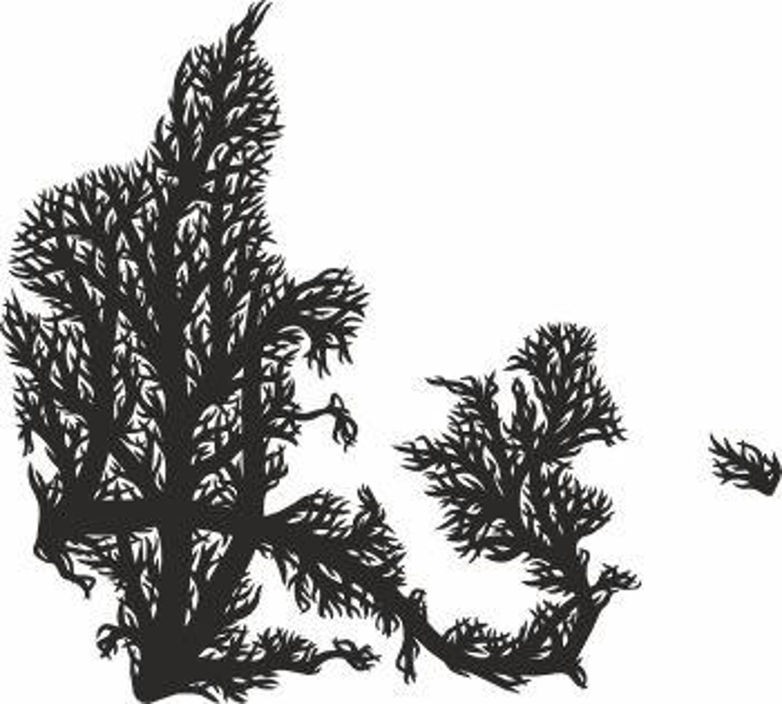 Svg Denmark Map, Tree Laser Cut Map of Denmark, Denmark Poster, Danish ...
