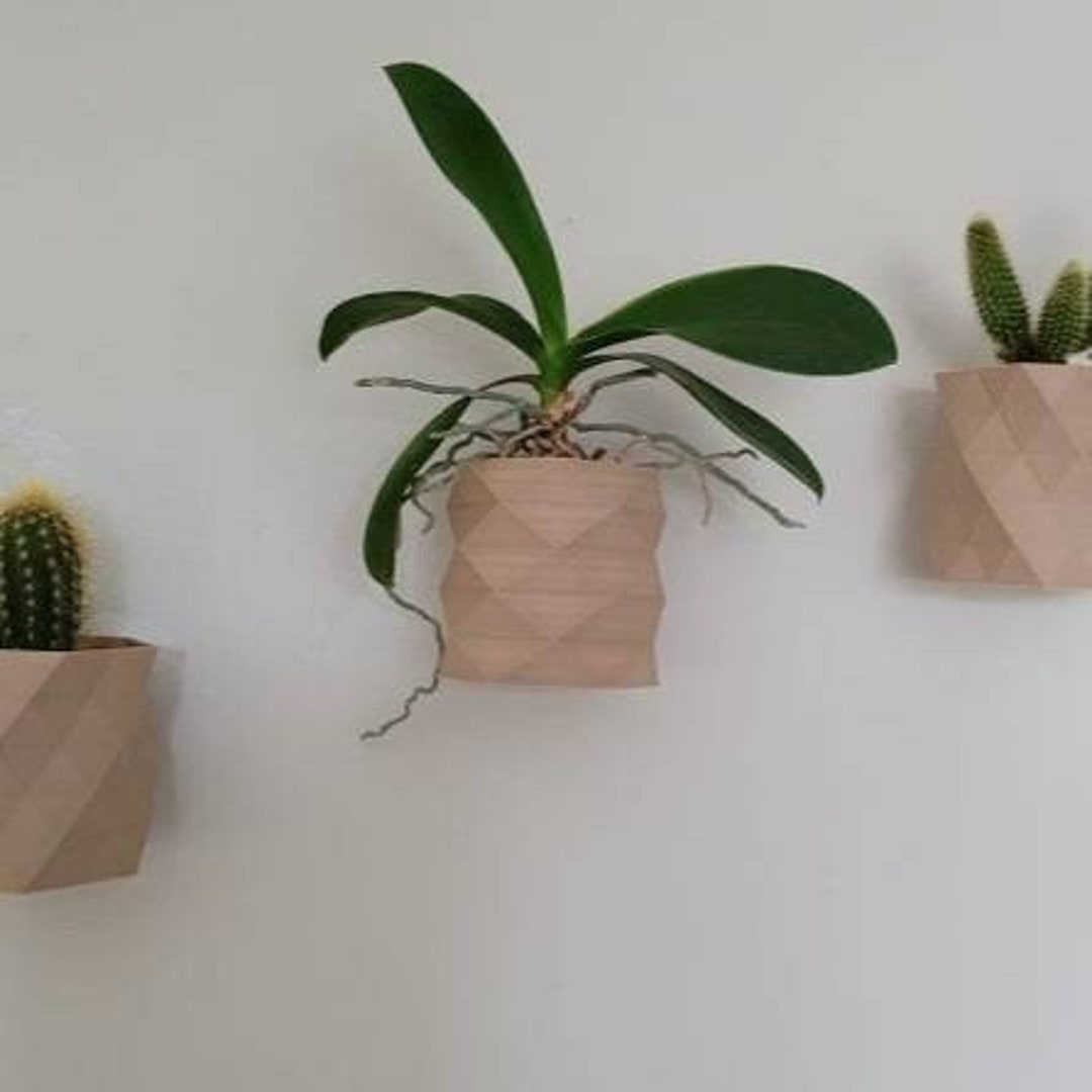 Set of 3 Wooden Wall Planter, Wall Mounted Plant Pots, Plant Pot Holder ...