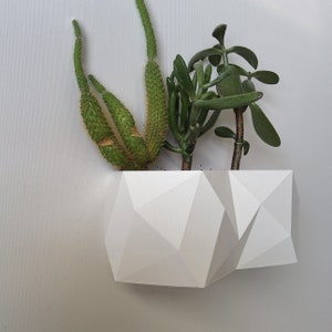Wall Mounted Planter, Irregular-shaped Wall Plant Pot for Indoor ...