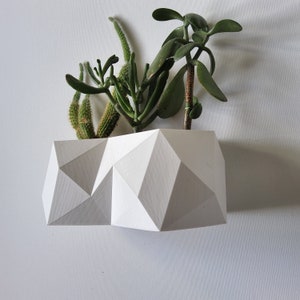 Wall Mounted Planter, Irregular-shaped Wall Plant Pot for Indoor ...