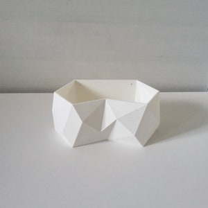 Wall Mounted Planter, Irregular-shaped Wall Plant Pot for Indoor ...
