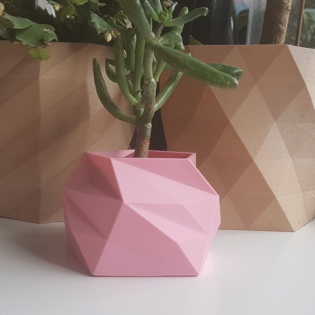 Pentagon Indoor Planter, Pink Indoor Plant Pot, Perfect Gift - Etsy