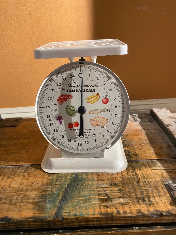 American Family Scale - Etsy