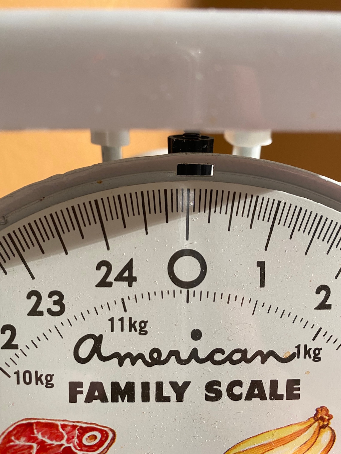American Family Scale - Etsy