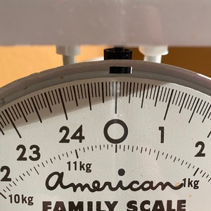 American Family Scale - Etsy