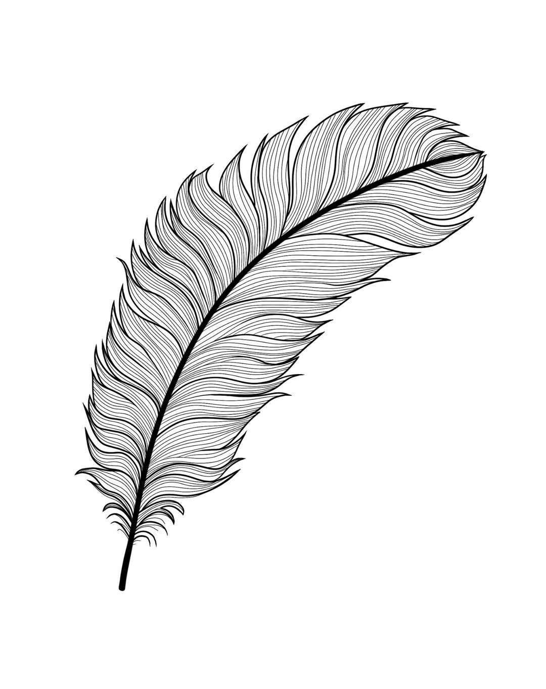 Feather Template: Royalty Free Traceable Pattern Bundle jpg, Png, Svg ...