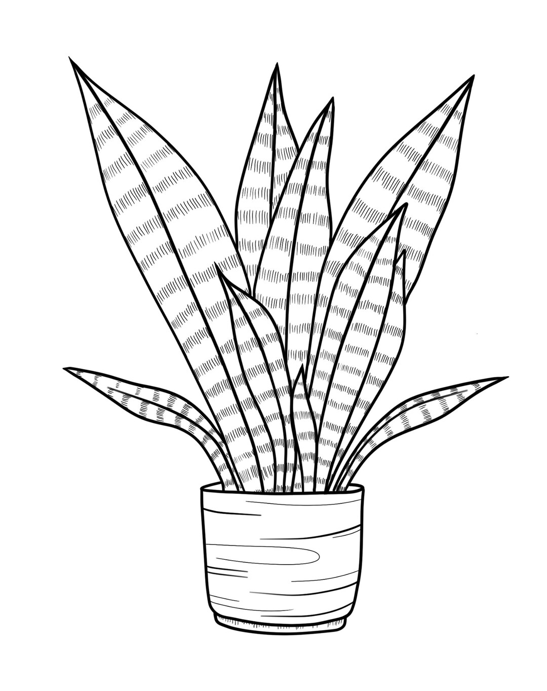 Snake Plant Template: Royalty Free Traceable Pattern Bundle jpg, Png ...