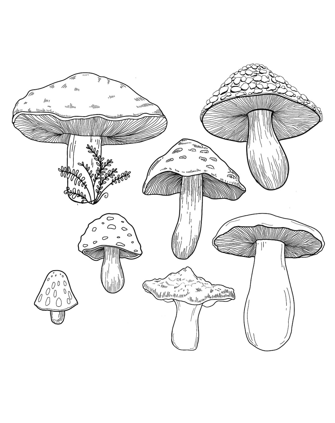 Mushroom Template: Royalty Free Traceable Pattern Bundle jpg, Png, Svg ...