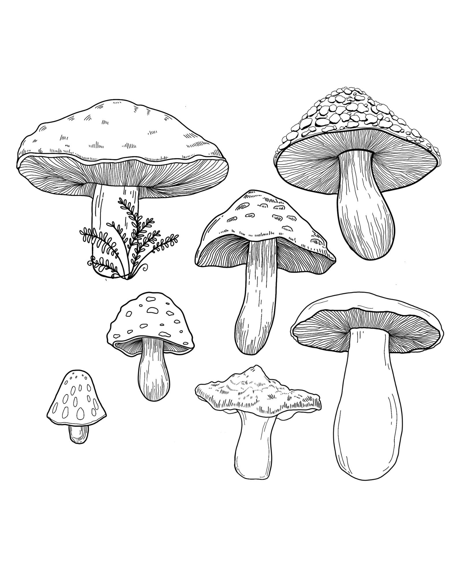 Mushroom Template: Royalty Free Traceable Pattern Bundle jpg, Png, Svg ...