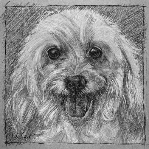 KCCaliArtist - Etsy