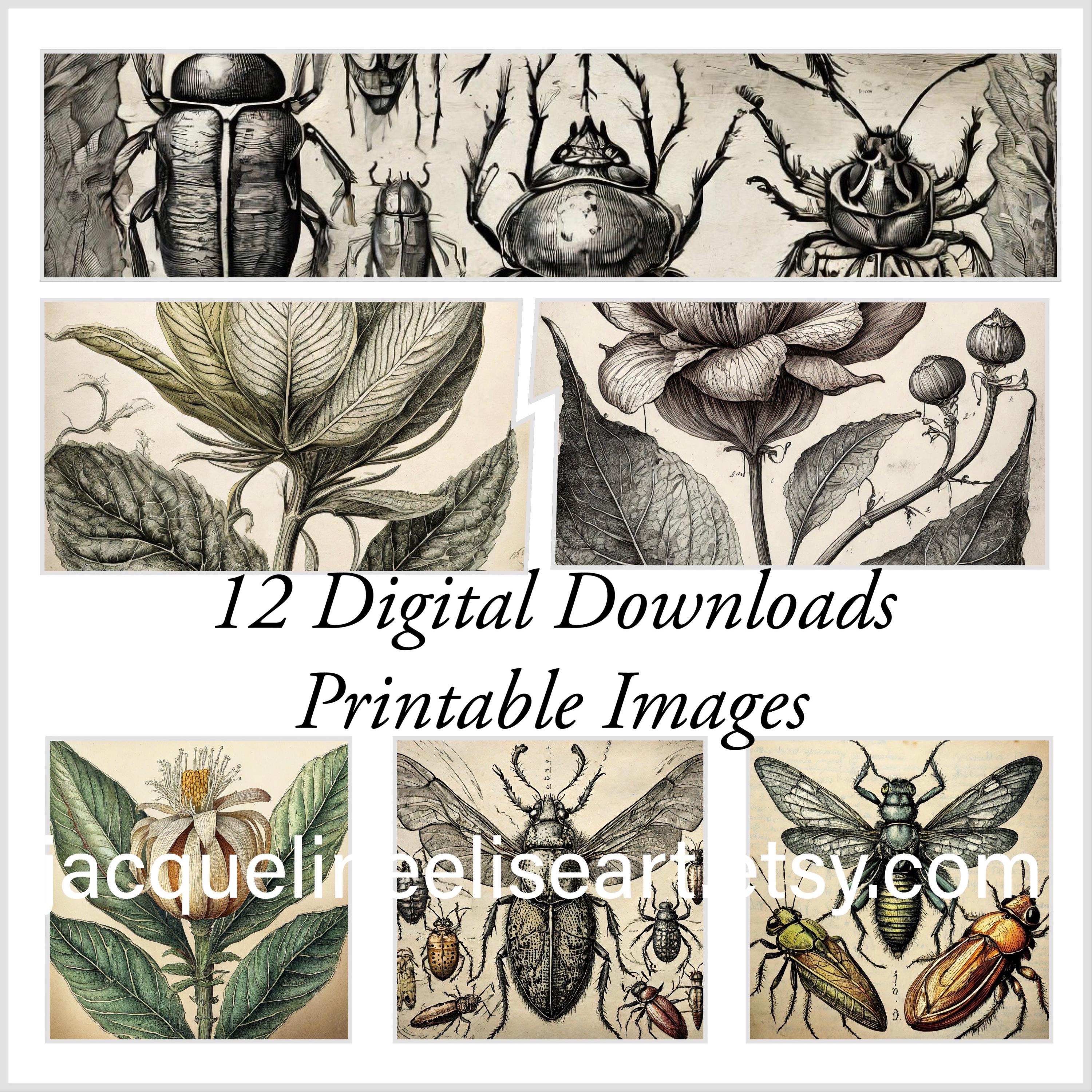 Botanical Plants and Insects Themed Digital Images Bundle for Crafting ...