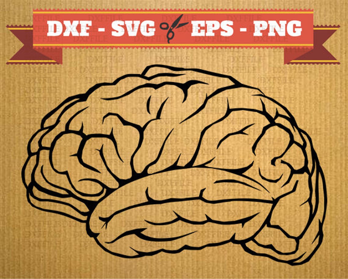 Format .dxf Brain SVG - CNC File Cut - Vinyl Vector - Cricut- File Dxf ...