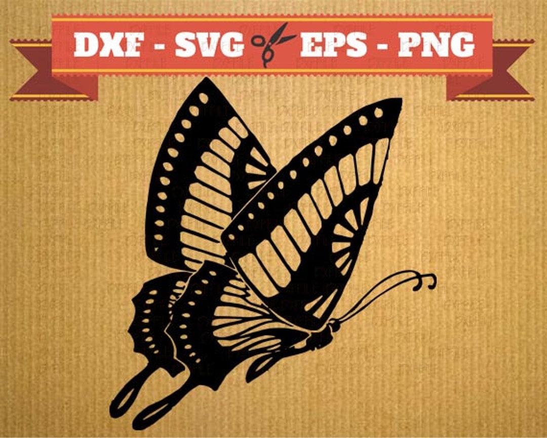 Butterfly SVG Files, Vector Files for Cricut, Butterfly Cutting Files ...