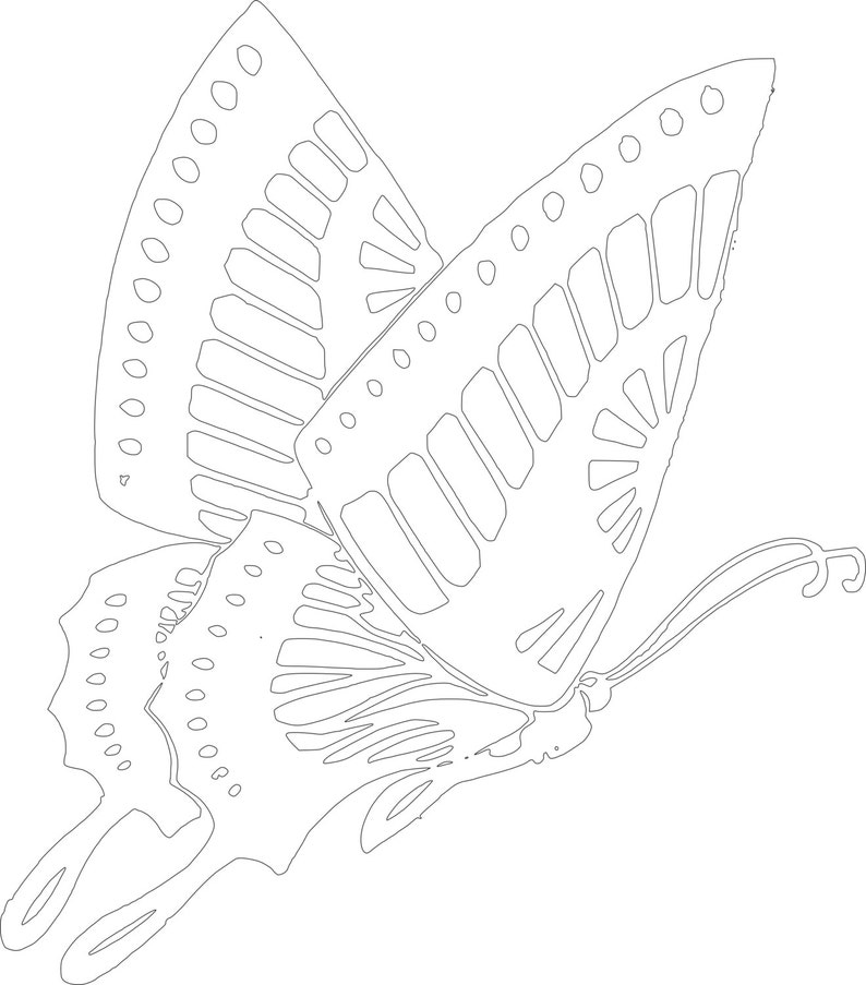 Papillon SVG et DXF fichier vectoriel pour cricut butterfly - Etsy France