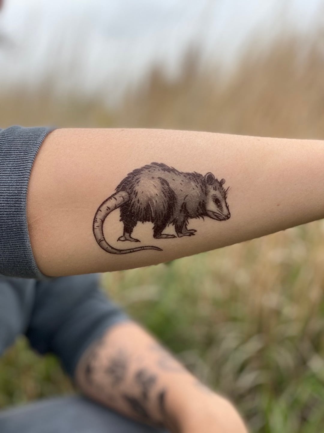 Opossum Temporary Tattoo, Black Ink Possum, Forest Animal Tattoo ...