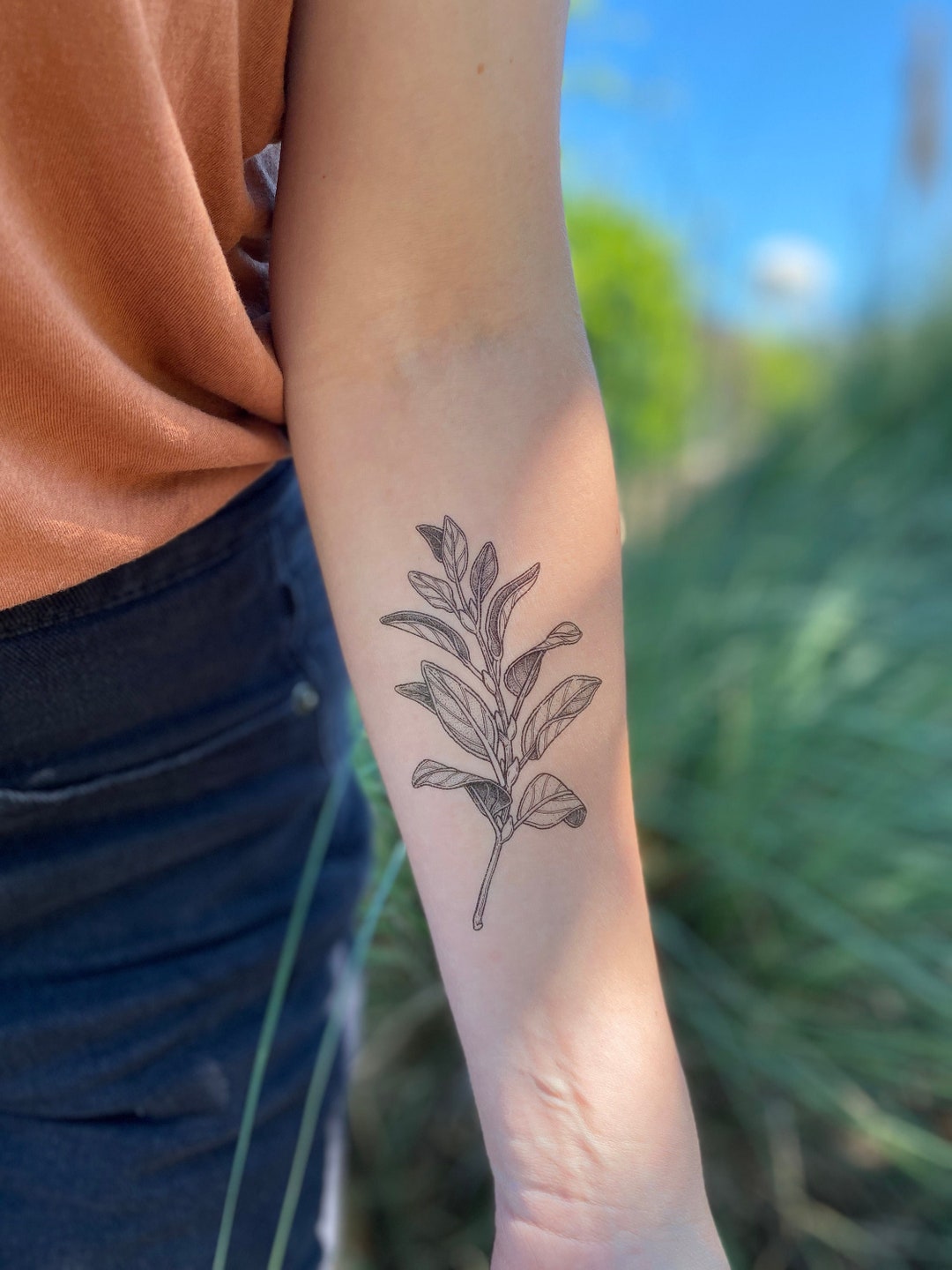 Sage Sprig Temporary Tattoo, Black Line Tattoo, Herbal, Botanical ...