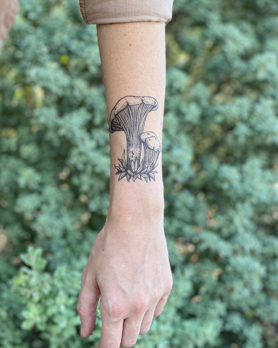Chanterelle Mushroom Temporary Tattoo Black Line Tattoo Wild - Etsy