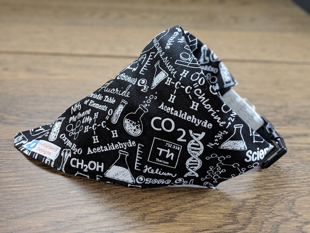 CLEARANCE SALE Einstein Science Dog / Pet Bandana - Etsy