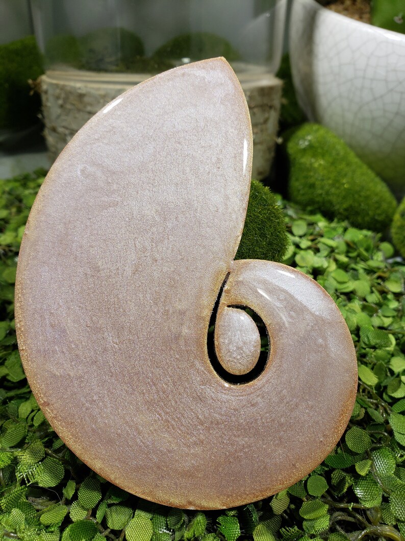 Shell Magnet / Hand Painted / Decorative - Etsy