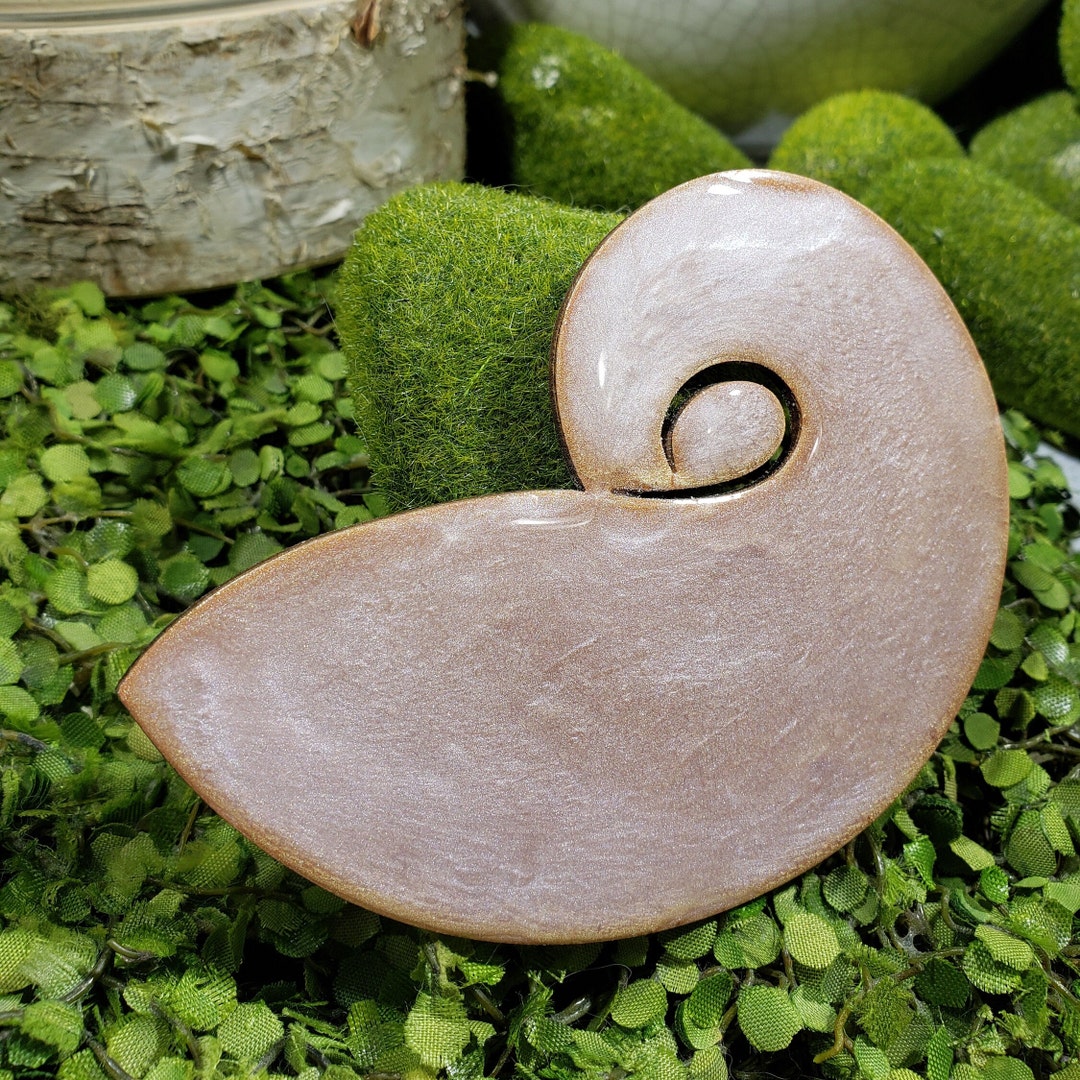 Shell Magnet / Hand Painted / Decorative - Etsy