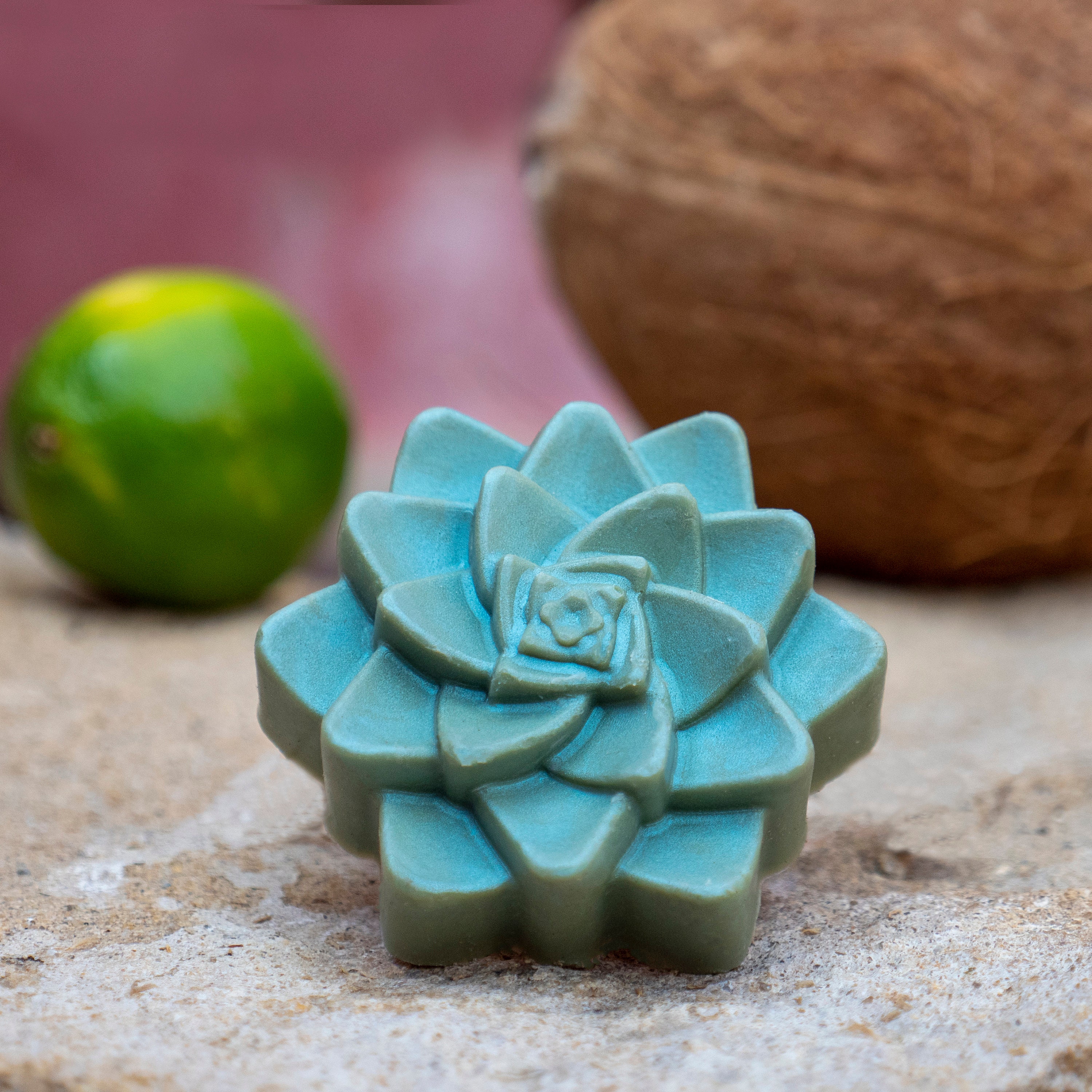 Aloe Vera, Butter and Agave Succulent Soaps - Etsy