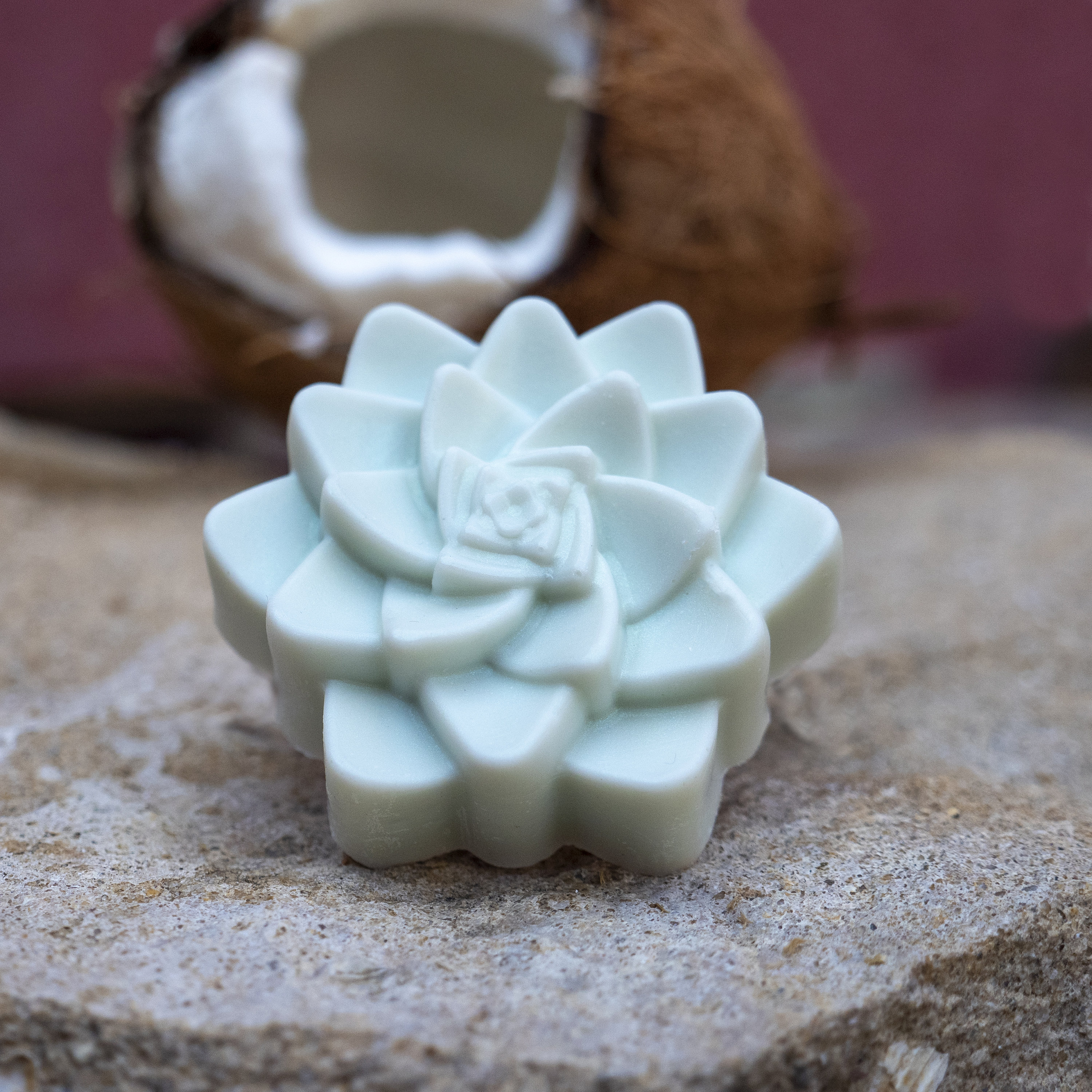 Aloe Vera, Butter and Agave Succulent Soaps - Etsy