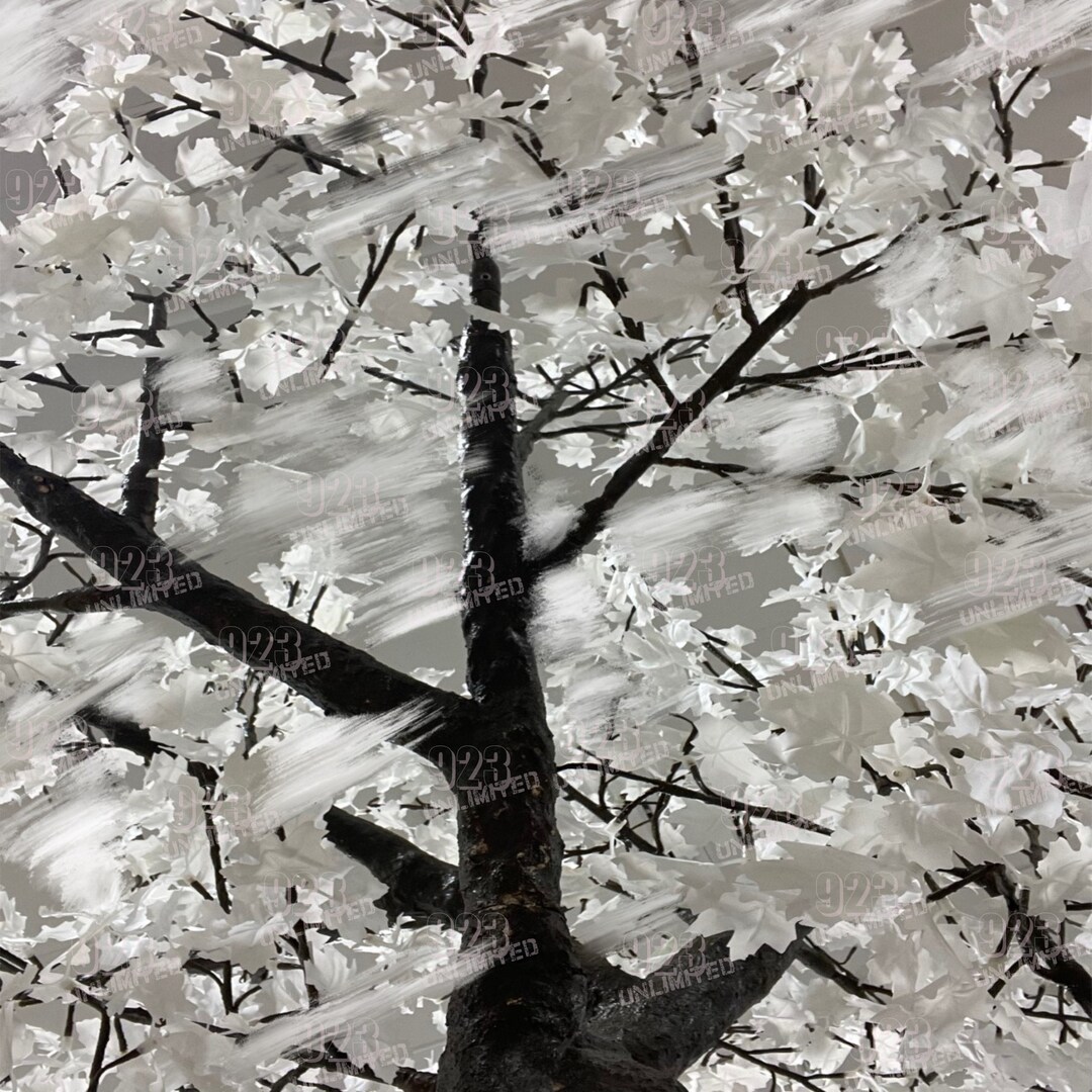 259-faded Whisper Tree - Digital Paper, Instant Download, Sublimation ...