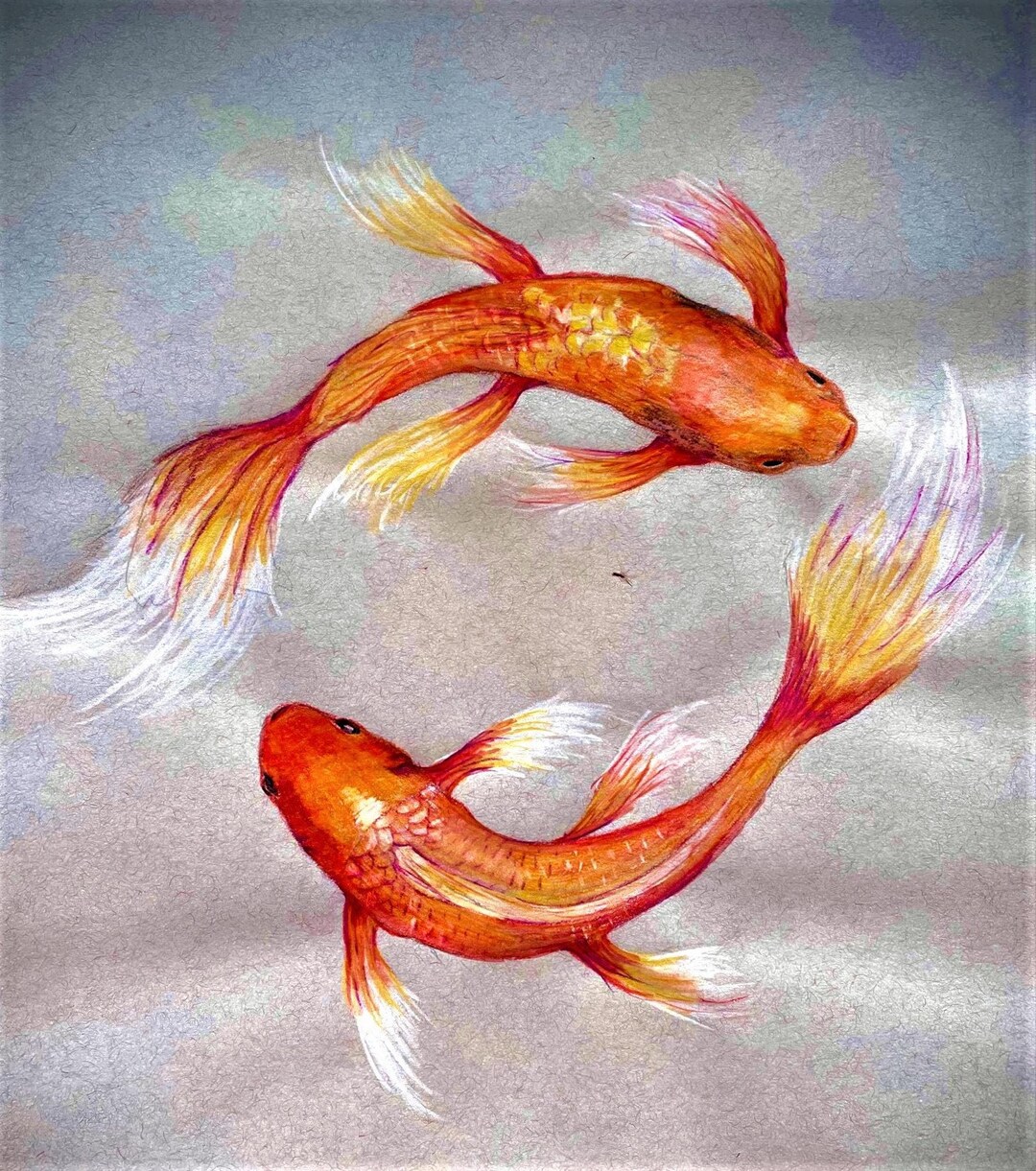 Koi Original Art Print in Watercolor Pencil and Graphite - Etsy