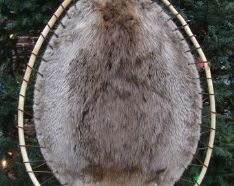 Beaver pelt | Etsy