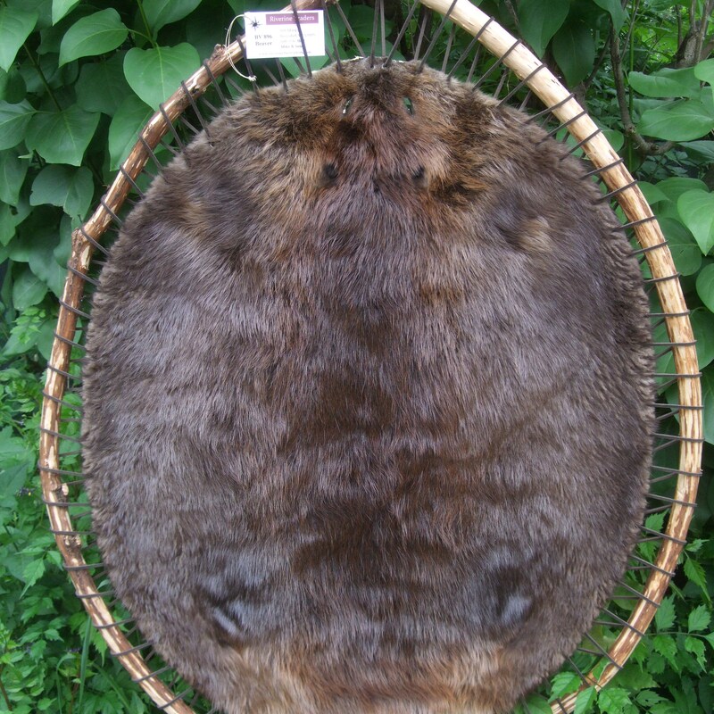 Beaver Pelt - Etsy
