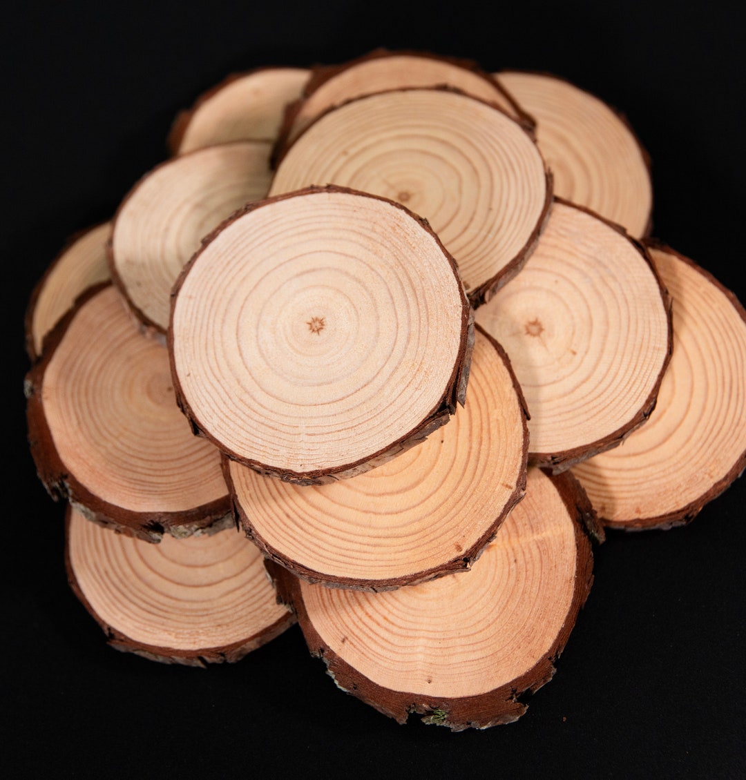 Wood Slices for Crafts! Bulk Wood Slices, Craft Supplies, Wedding ...