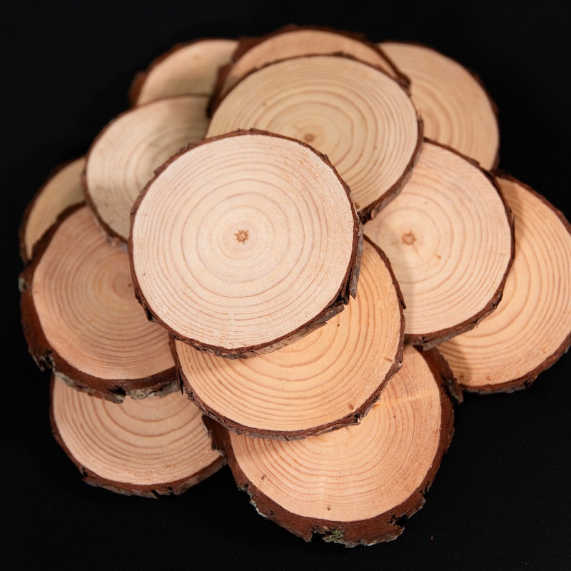 Wood Cookie Crafts - Etsy