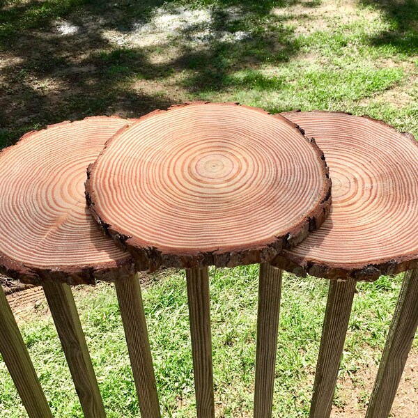 Large Wood Slices - Etsy