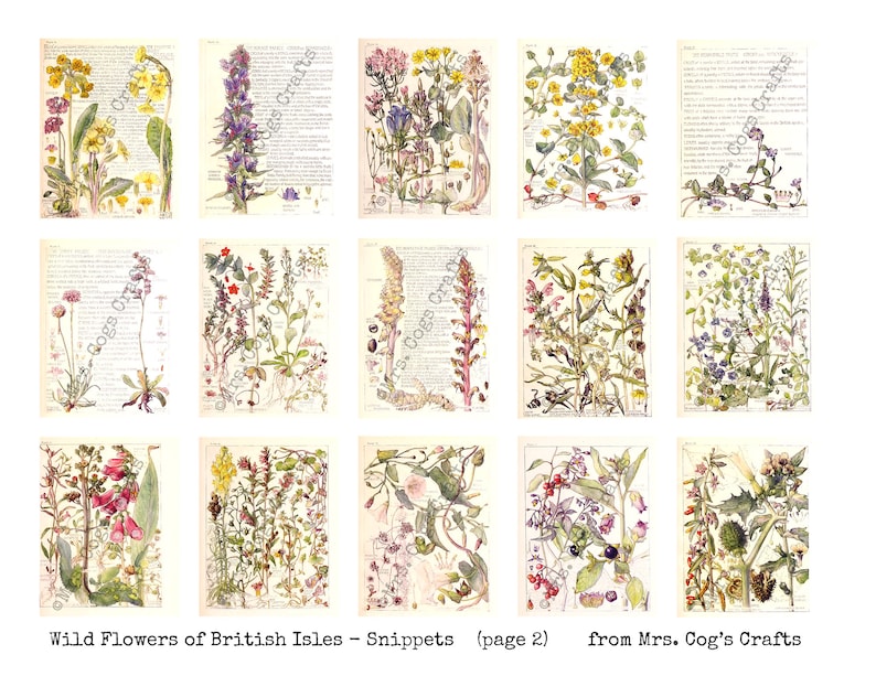 Mini Art - Wild Flower Snippets - Set #4 , Printable Images, Digital ...