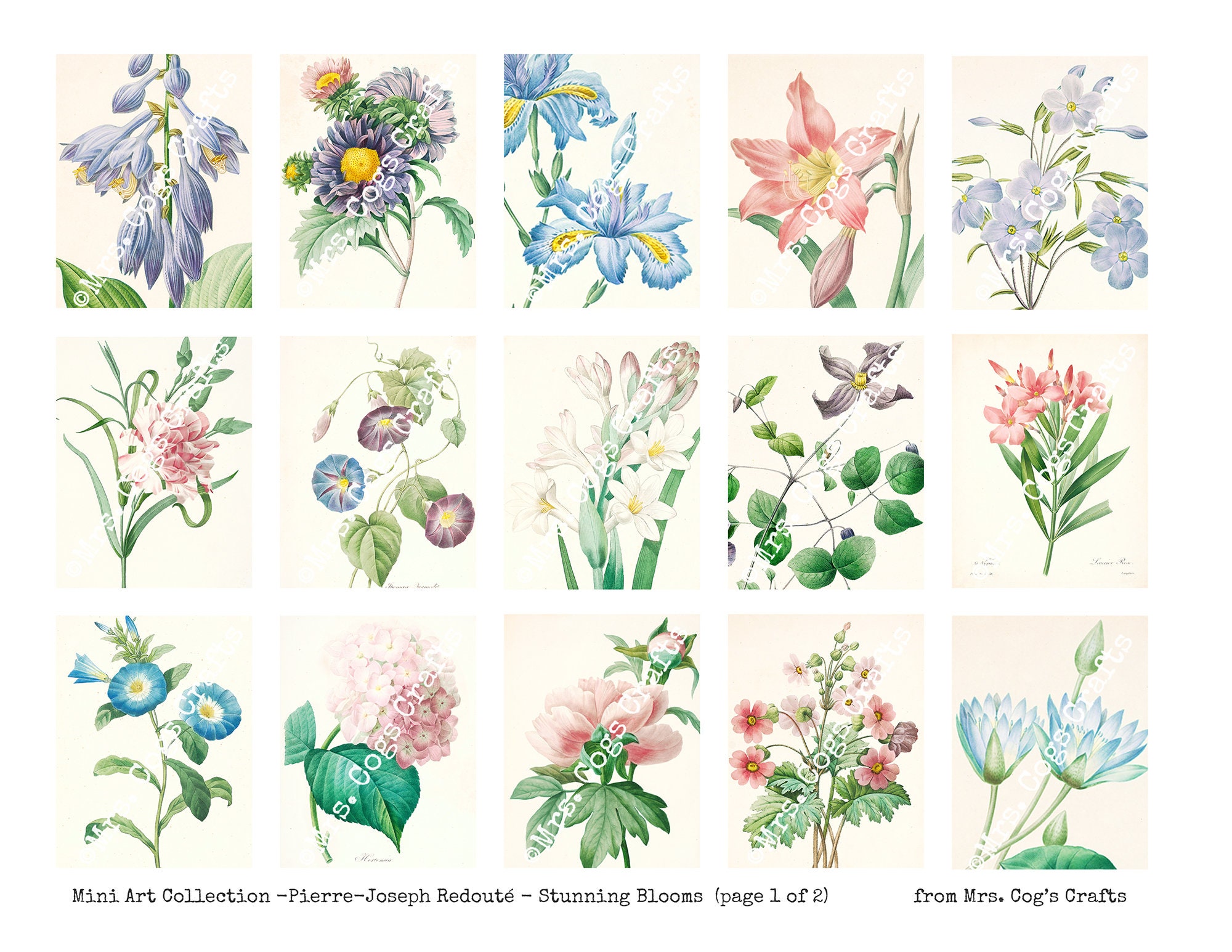 Mini Art - Pierre-joseph Redouté - Printable Images, Digital Download ...