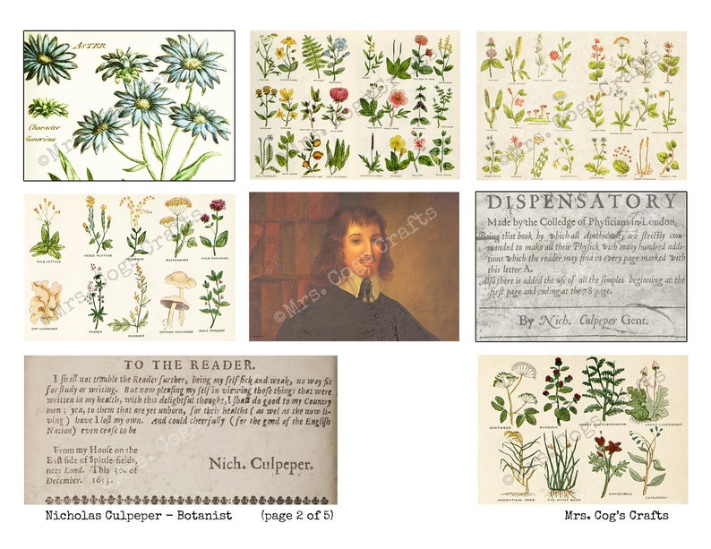 Nicholas Culpeper, Botanist - Printable Images, Digital Ephemera ...