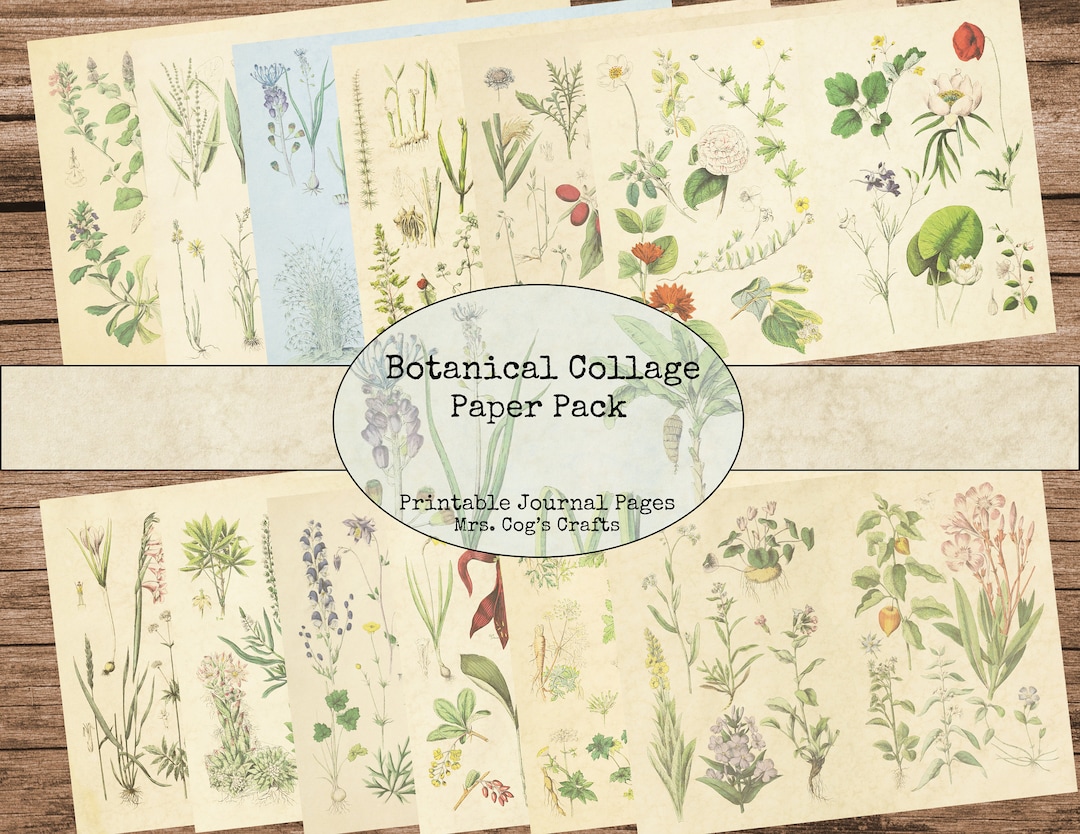 Botanical Collage - Paper Pack, Printable Journal Pages, Digital ...