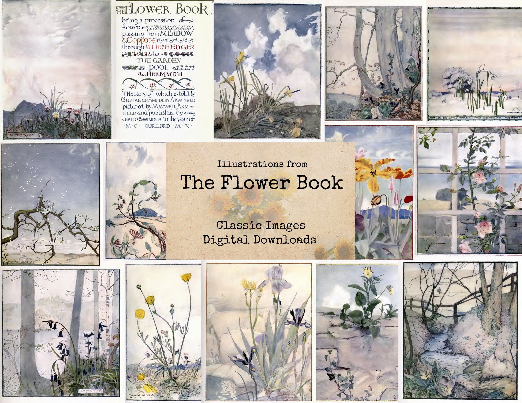 The Flower Book - Digital Ephemera, Digital Images, Vintage Art ...