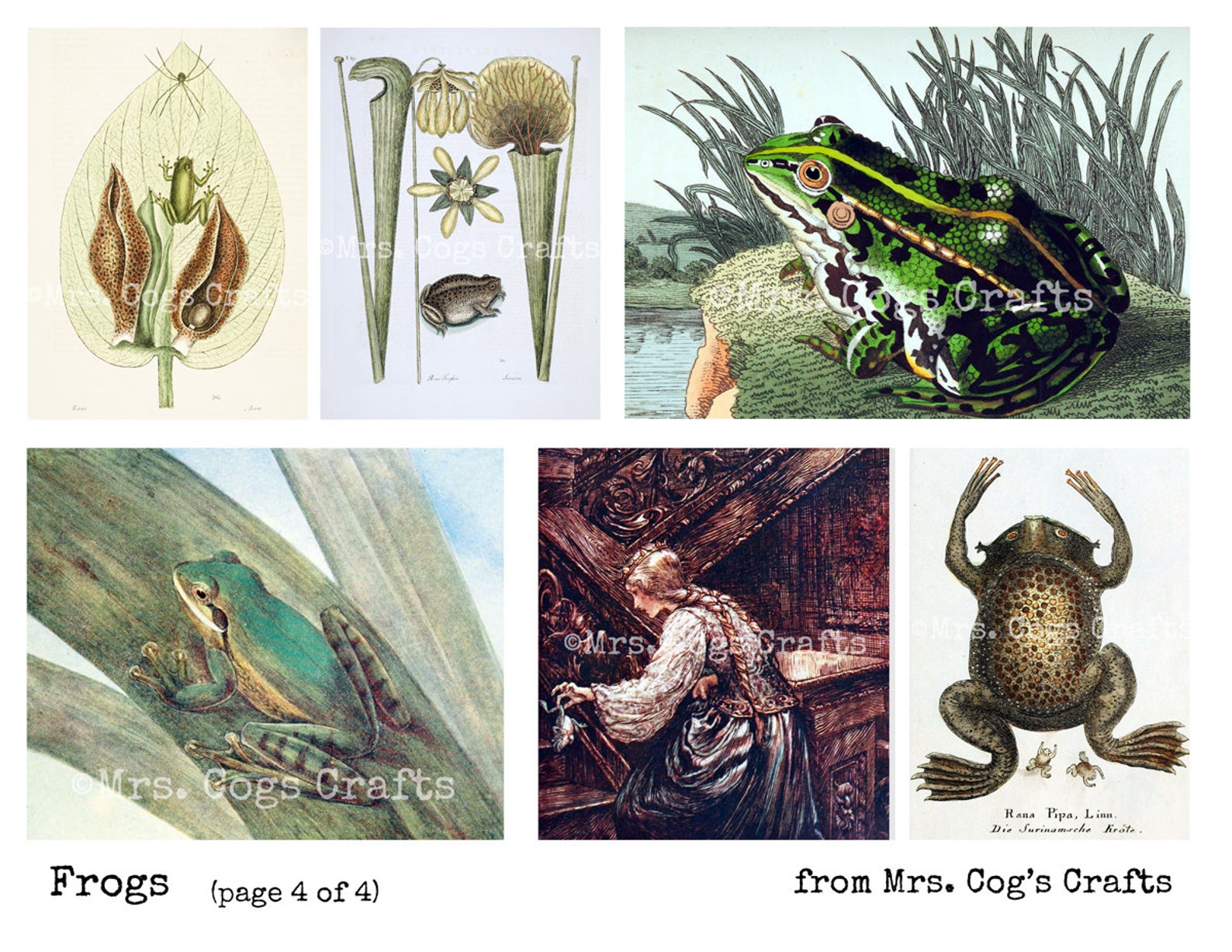 Frogs - Digital Ephemera Classics, Digital Images, Vintage Art, Instant ...