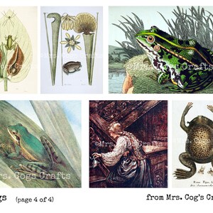 Frogs - Digital Ephemera Classics, Digital Images, Vintage Art, Instant ...