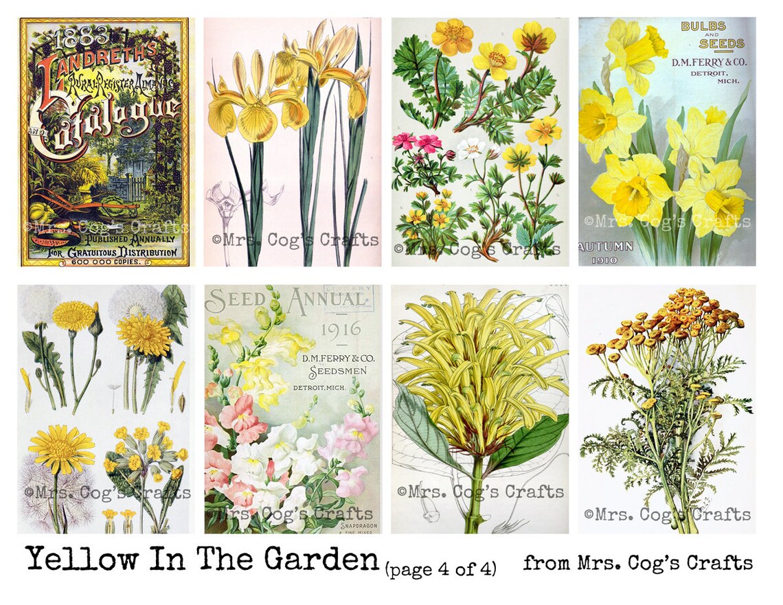 Yellow in the Garden Digital Ephemera Classics Digital - Etsy