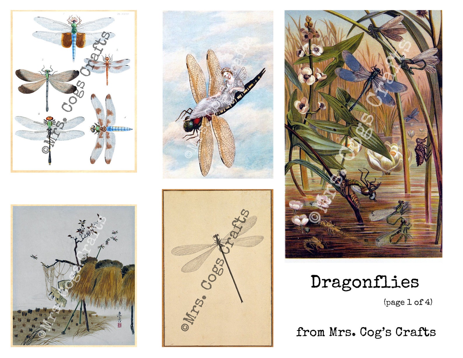 Dragonflies Printable Images Ephemera Classics Digital | Etsy