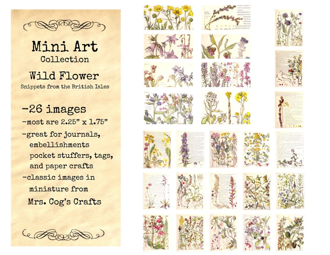 Mini Art - Wild Flower Snippets - Set #4 , Printable Images, Digital ...